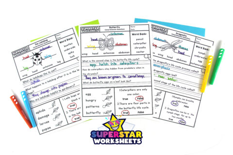 Second Grade Reading Comprehension - Superstar Worksheets