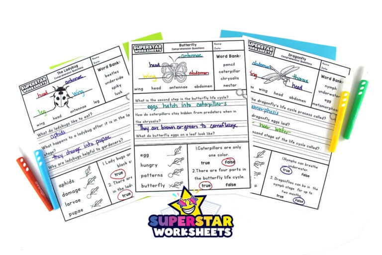 Second Grade Reading Comprehension - Superstar Worksheets