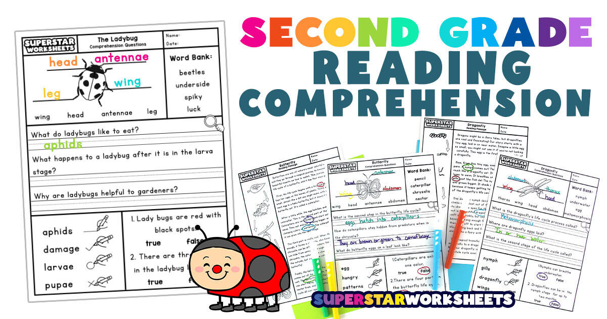 Second Grade Reading Comprehension - Superstar Worksheets