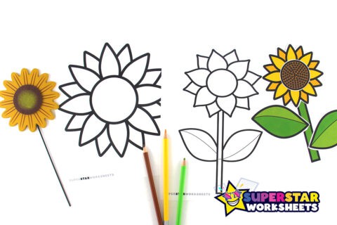 Sunflower Template (Free Printables) - Superstar Worksheets