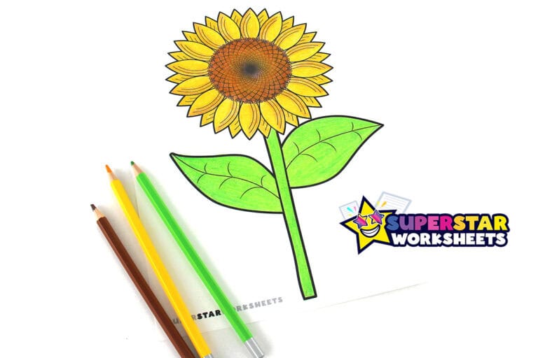 Sunflower Template (Free Printables) - Superstar Worksheets