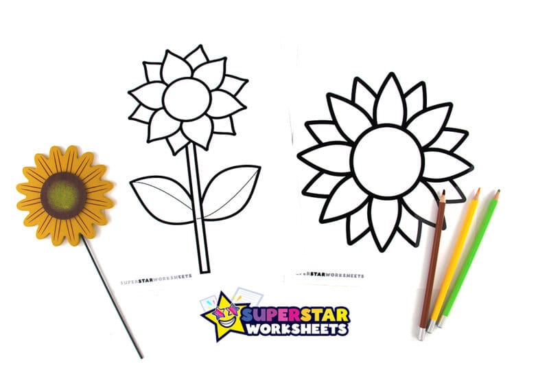 Sunflower Template (Free Printables) - Superstar Worksheets