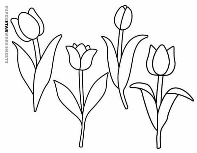 Tulip Template (Free Printables) - Superstar Worksheets
