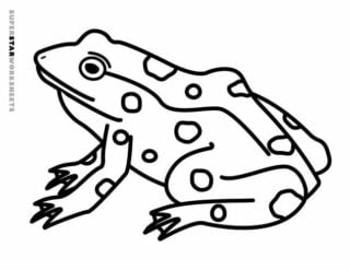 Frog Template (Free Printables) - Superstar Worksheets