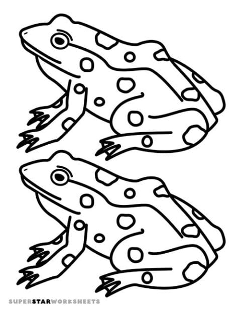 Frog Template (Free Printables) - Superstar Worksheets