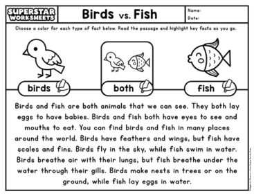 Compare and Contrast Worksheets - Superstar Worksheets