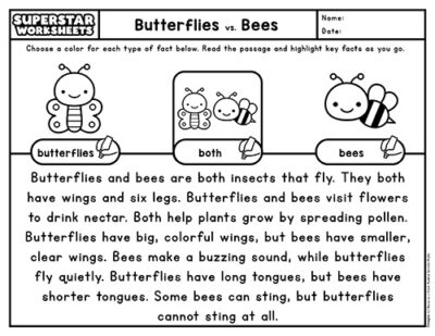 Compare and Contrast Worksheets - Superstar Worksheets