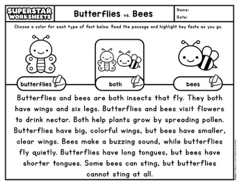 Compare and Contrast Worksheets - Superstar Worksheets