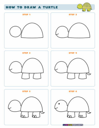How to Draw a Turtle - Superstar Worksheets