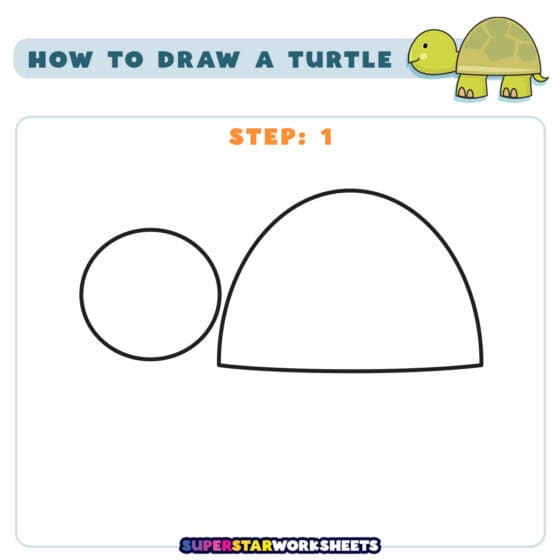 How to Draw a Turtle - Superstar Worksheets
