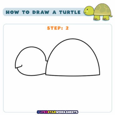 How to Draw a Turtle - Superstar Worksheets