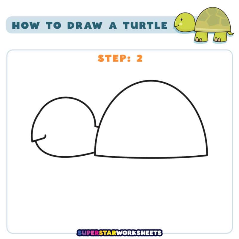 How to Draw a Turtle - Superstar Worksheets
