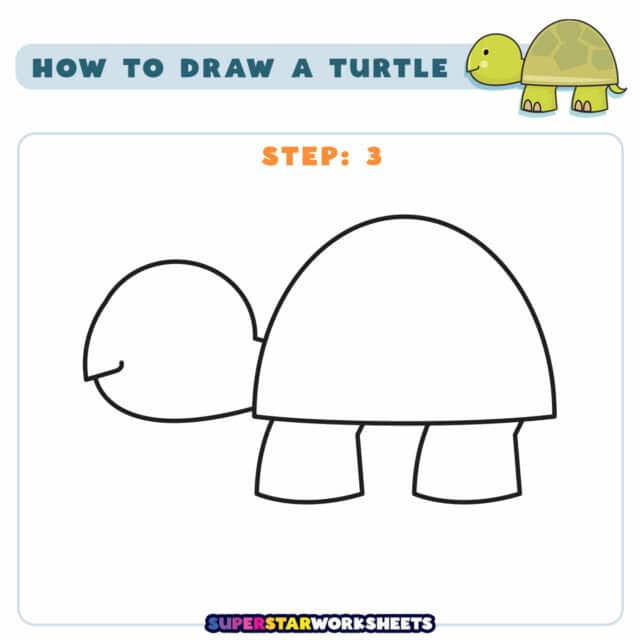 How to Draw a Turtle - Superstar Worksheets