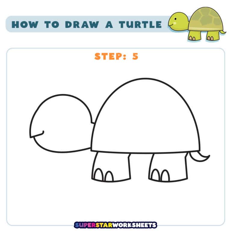 How to Draw a Turtle - Superstar Worksheets
