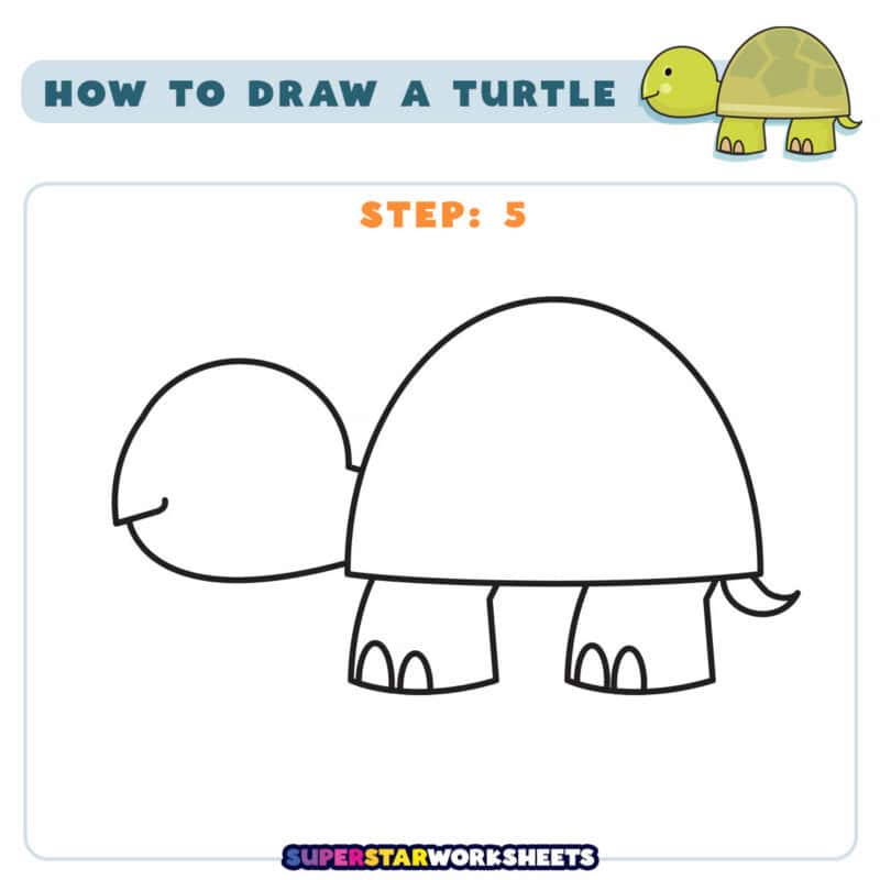 How to Draw a Turtle - Superstar Worksheets