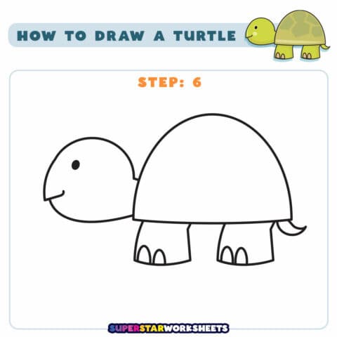 How to Draw a Turtle - Superstar Worksheets