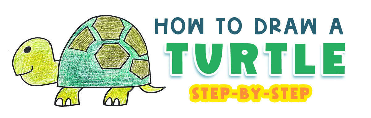 How to Draw a Turtle - Superstar Worksheets