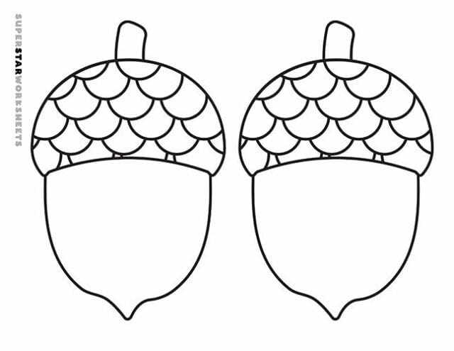 Acorn Template (Free Printables) - Superstar Worksheets