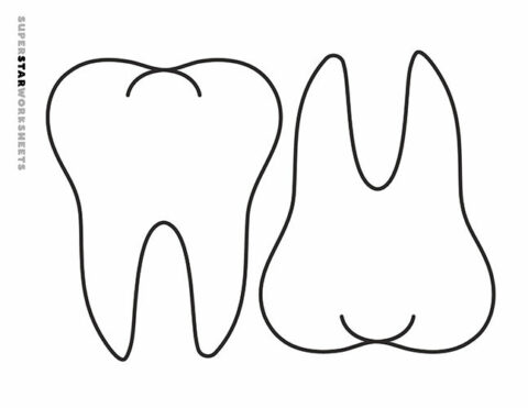 Tooth Template (Free Printables) - Superstar Worksheets