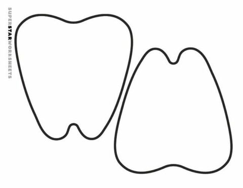 Tooth Template (Free Printables) - Superstar Worksheets