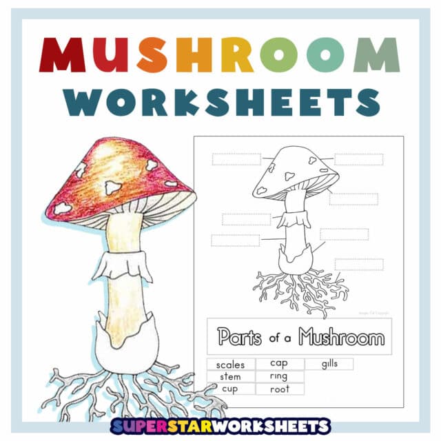 Science Worksheets - Superstar Worksheets