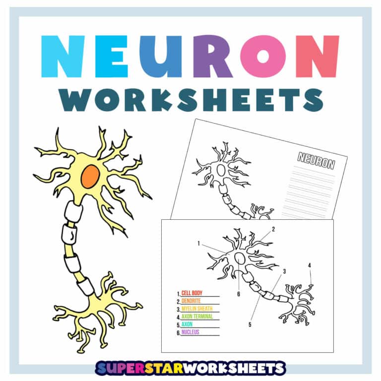 Science Worksheets - Superstar Worksheets
