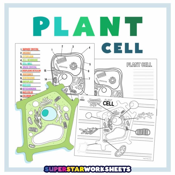 Science Worksheets - Superstar Worksheets