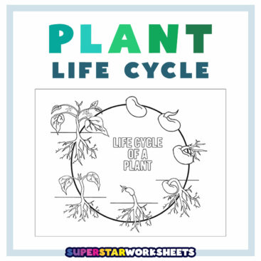 Science Worksheets - Superstar Worksheets