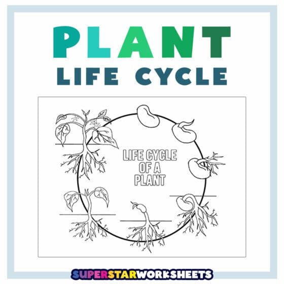 Science Worksheets - Superstar Worksheets