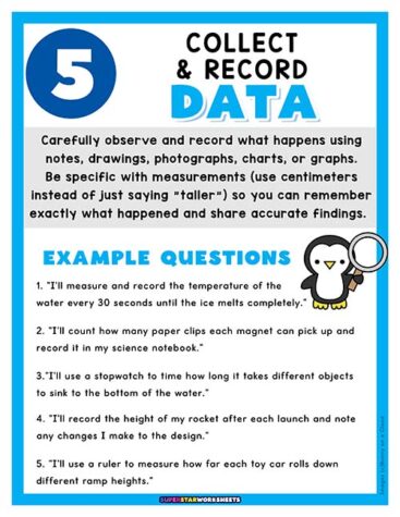 Scientific Method Worksheets - Superstar Worksheets