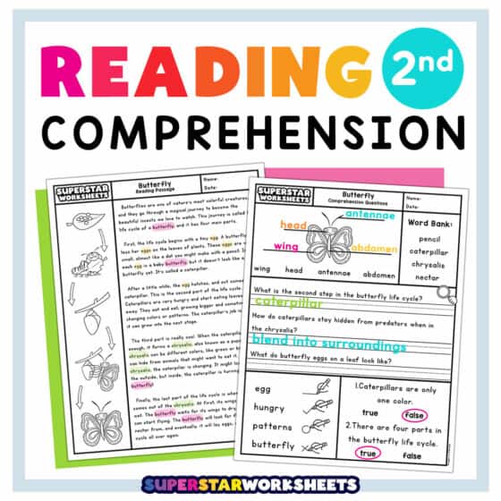 Second Grade Reading Comprehension - Superstar Worksheets