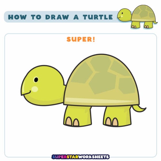 How to Draw a Turtle (Free Printables) - Superstar Worksheets