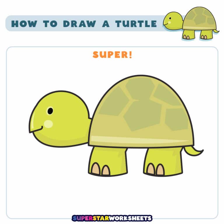 How to Draw a Turtle (Free Printables) - Superstar Worksheets