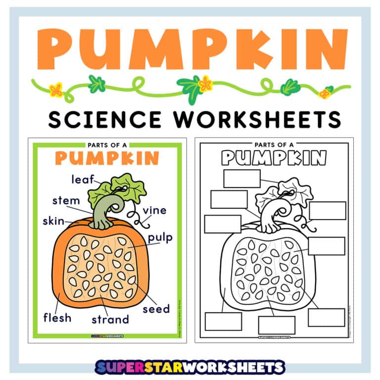 Pumpkin Worksheets (Free Printables) - Superstar Worksheets