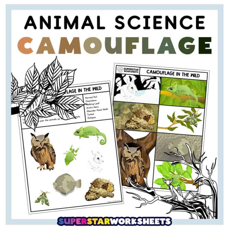 Animal Camouflage Worksheets (Free Printables) - Superstar Worksheets