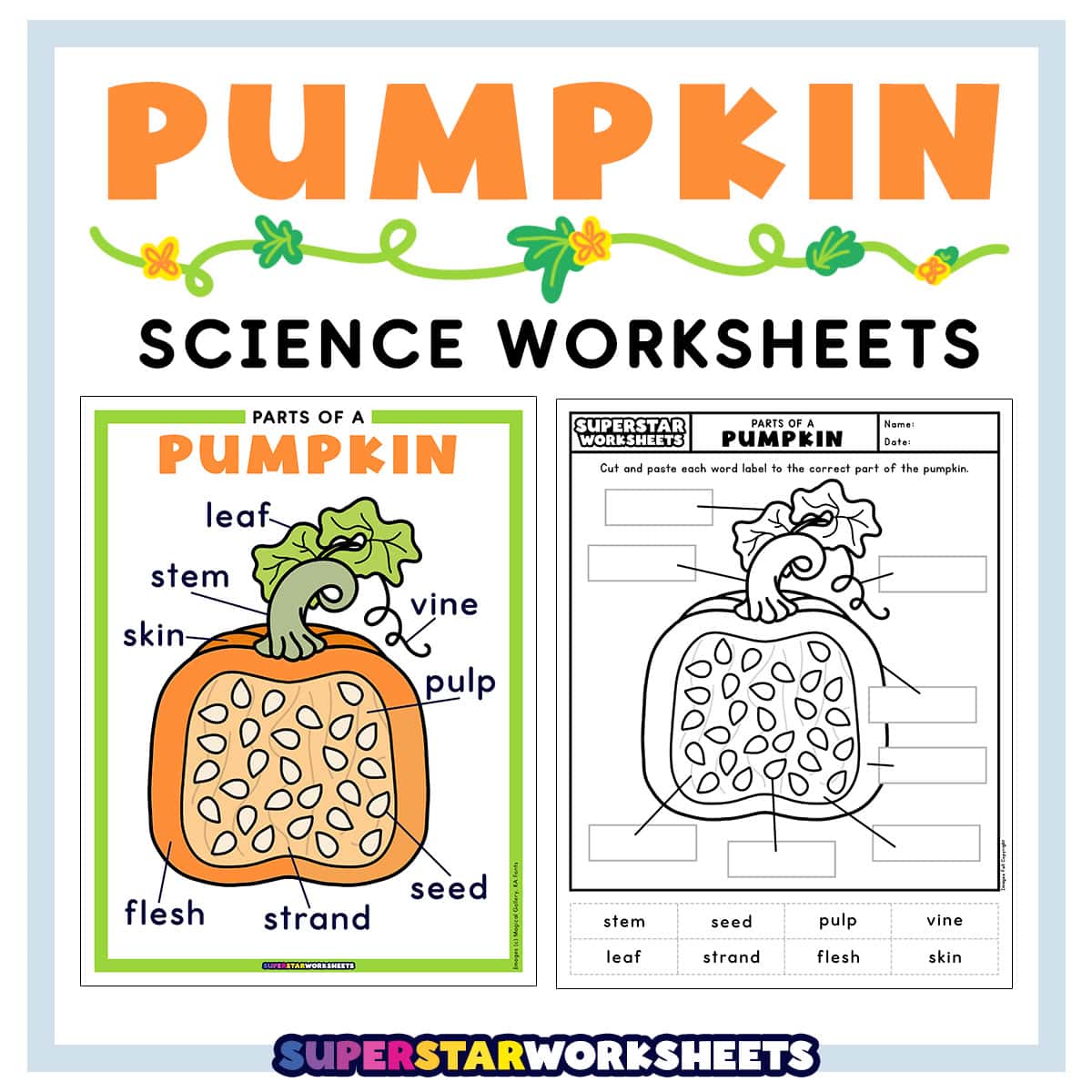 Pumpkin Worksheets (Free Printables) - Superstar Worksheets