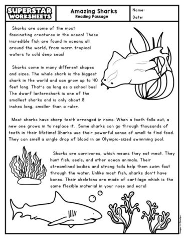 Shark Week Printables (Free Printables) - Superstar Worksheets